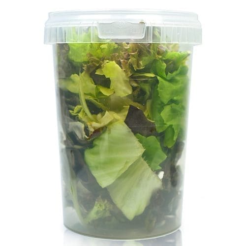 570ml Plastic Food Pot - Ampulla Limited - 0161 367 1414